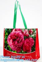China Woven tote shopping grocery Bag with custom logo, recyclable pp laminated non woven shopping bag, Woven Grocery Bag In S for sale