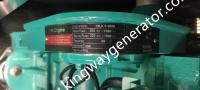 China Natural Gas 3 Phase Generator 220KW 275KVA Powered By  Engine for sale