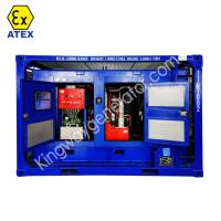 China ATEX Zone 2 Certified 100 kVA Marine Explosion-Proof Generator Set with DNV 2.7-1 Offshore Container for sale