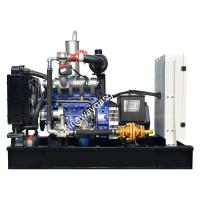 China Farmer Use  Engine  Biogas Gas Generator Set Three Phases 50kva for sale