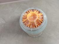 China Universal Year Genuine Fuel Water Separator Filter Element FS36231 for Cummins Engine for sale