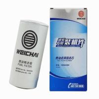 China OE NO. 10004246551000442956 Shacman Excavator Engine Filter Diesel Filter Oil Filter for sale