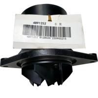 China Diesel Engine Parts Water Pump C4891252 with Standard Size and OE NO. 4891252 for sale