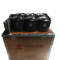 China Top- Engine Overhaul Kits Weichai Power Wp10 Part No. 612600900079 Other Car Fitment for sale