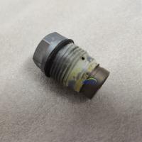 China High Pressure Common Rail System Fuel Pressure Limiting Valve Sensor OEM Standard Size for sale