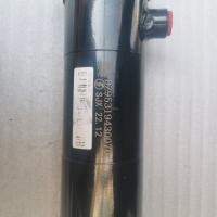 China Iron Power Steering Cylinder Assembly for Shaanci Delong Shacman X3000 M3000 DZ95319430070 for sale