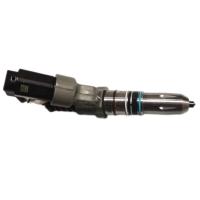 China Diesel Injector4903319 Common Rail Injector for Cummins Qsm Ism Qsm11Ism11 M11 Engine for sale