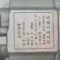 China Hard and Durable CB-F5100 Hydraulic Gear Oil Pumps for Heavy Duty Trucks Replace/Repair for sale