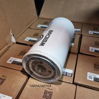 China Standard Size Fine Fuel Filter Element 1000422382a for Engine Filter Aftermarket Purpose for sale