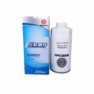 China Fuel Filter 1000495963 Wp10 1000428205 389108510007476881000964807 for SINOTRUK CNHTC for sale