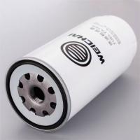 China Fuel Filter 1000495963 Wp10 1000428205 389108510007476881000964807 for SINOTRUK CNHTC for sale
