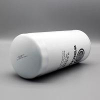 China Fuel Filter 1000495963 Wp10 1000428205 389108510007476881000964807 for SINOTRUK CNHTC for sale