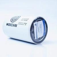 China Fuel Filter 1000495963 Wp10 1000428205 389108510007476881000964807 for SINOTRUK CNHTC for sale