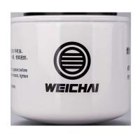 China Auto Oil Filter1000002416 Diesel Filter1000349720a Fuel Filter for Shacman Car Fitment for sale