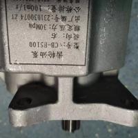 China Hydraulic Gear Pump CB-F5100 for Shacman Dongfeng HOWOFAW Trucks Customizable Options for sale