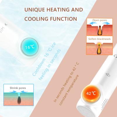 China Pore Cleaning DC5V 3W Electric Blackhead Remover Tool for sale