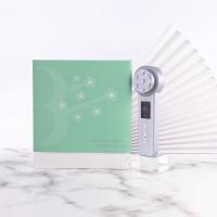China Rf 90KHZ Skin Tightening Ems Microcurrent Face Toner Machine for sale