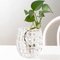 China Egg Shape Home Decoration Glass Bottles 520ml Machine Made Mini Clear Glass Vases for sale