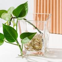 China Clear Home Decoration Glass Machine Made Square Tapered Glass Vases 4.65 Inch Tall for sale