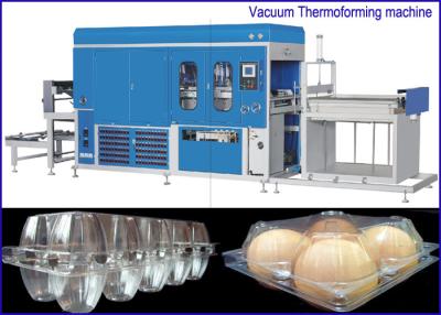 China Automatic Plastic Vacuum Thermoforming Machine For Egg trays / High efficiency for sale