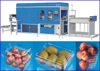 China Plastic Vacuum Thermoforming Machine For Super market Fruit and Vege containers for sale