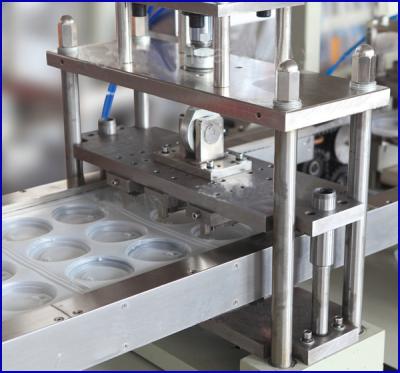 China PP tranparent sheet cup lid Automatic Plastic Thermorforming Machine for Sale for sale