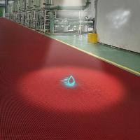 China Non Slip Wet Room Floor Mats 12mm Anti Bacterial Quick Dry for Changing Room for sale