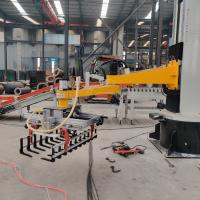 China Stainless Steel Automatic Carton Packaging Line Palletizer Machine for Production Line for sale