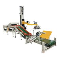 China Streamlined Packaging Line Automatic Carton Palletizer with Stainless Steel Material for sale