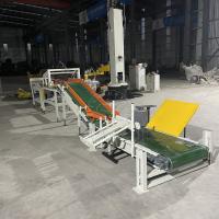 China Construction Works Made Easy Speed Palletizer Robot for Stacking at 30-60 Boxes/Minute for sale