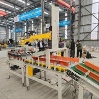 China 380v Voltage Stainless Steel Material Column Palletizing Robot Arm Type Palletizer for sale