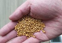 China 1-6 t/h Capacity Urea Fertilizer Granule Coating Machine for Smooth and Easy Operation for sale