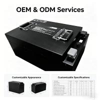 China Ebike Scooter Electric Motorcycle Lithium Battery Pack 60V 75Ah LiFePO4 Replacement Battery For 2/3 Wheeler for sale