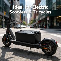 China Rechargeable 60V 50Ah LiFePO4 Battery Pack 2C Discharge For Electric Bicycles/Scooters for sale