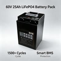 China LifePO4 Battery 60V 25Ah 1500 Cycles 2C Discharge Lithium Iron Phosphate Battery with BMS for sale