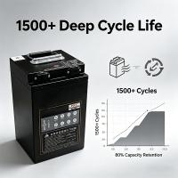 China LifePO4 Battery 60V 25Ah 1500 Cycles 2C Discharge Lithium Iron Phosphate Battery with BMS for sale