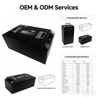 China Custom Electric 2 Wheel 3 Wheeler LiFePO4 Lithium Battery Motorcycle Battery 60V 50Ah for sale