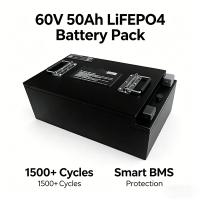 China Ebike Scooter Electric Motorcycle Lithium Battery Pack 60V 50Ah LiFePO4 Replacement Battery For 2/3 Wheeler for sale