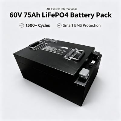 China Custom Electric 2 Wheel 3 Wheeler LiFePO4 Lithium Battery Motorcycle Battery 60V 75Ah for sale