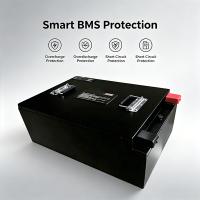 China Custom Electric 2 Wheel 3 Wheeler LiFePO4 Lithium Battery Motorcycle Battery 60V 100Ah for sale