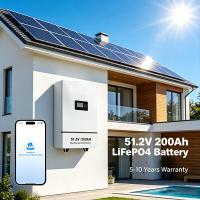 China 10.24kWh 6000 Cycles Wall Mounted LiFePO4 Home Battery for Solar ESS for sale
