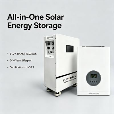 China 16.07kWh 51.2V 314Ah LiFePO4 Lithium Battery Pack with 5-10 Years Service Lifetime for Solar Energy Storage for sale