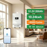 China 51.2V 200Ah 10.24kWh Stackable Wall-mounted LiFePO4 Solar Battery Pack with 5-10 Year Cycle Life for sale