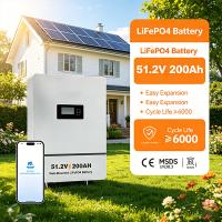 China 51.2V 200Ah 10.24kWh Stackable Wall-mounted LiFePO4 Solar Battery Pack with 5-10 Year Cycle Life for sale