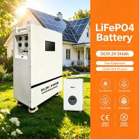 China 16.07kWh 10kW High Power Load Rollable Design LiFePO4 Battery for Home Solar Energy Storage for sale