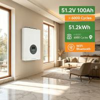 China BTR 5.12kWh Wall-Mounted LiFePO4 Solar Energy Storage System with 5kW Load for Home Energy Storage for sale