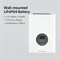 China BTR 5.12kWh Wall-Mounted LiFePO4 Solar Energy Storage System with 5kW Load for Home Energy Storage for sale