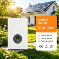 China BTR 5.12kWh Wall-Mounted LiFePO4 Solar Energy Storage System with 5kW Load for Home Energy Storage for sale