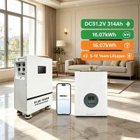 China Rollable 51.2V 314Ah 16.07kWh Lithium Iron Phosphate Home ESS with 10kW Max Load for Solar Energy Storage for sale