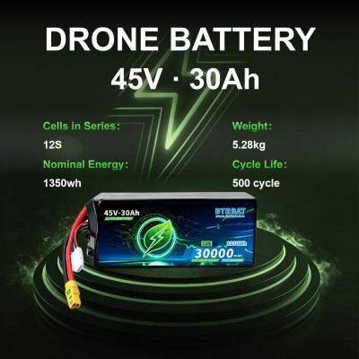 China 45V 30Ah 1350Wh Lithium Ion Rechargeable Battery Pack 12S1P High Density Energy Storage Battery Factory Direct Supply For Off Grid System RV Industrial Devices Electric Equipment Reliable Performance for sale
